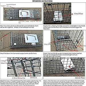 Live Animal Trap Cage Humane Cat Trap Rabbit Trap Humane Mouse Trap Live Traps for Raccoons Small Animal Trap Squirrel Traps Outdoor Groundhog Trap, 24'' Steel Humane Release Rodent Cage