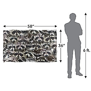 Trevco Racoons Silky Touch Super Soft Throw Blanket 36" x 58"