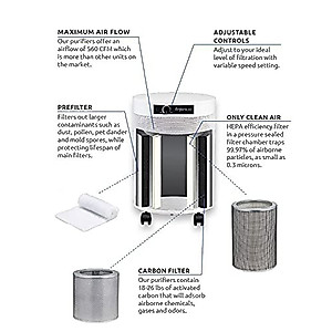 AIRPURA C600DLX AIR PURIFIER HELPS TO ELEMINATE SPECIFIC AIRBORNE PARTICLES INCLUDING VOLATILE ORGANIC COMPOUNDS,IMPROVE AIR QUALITY