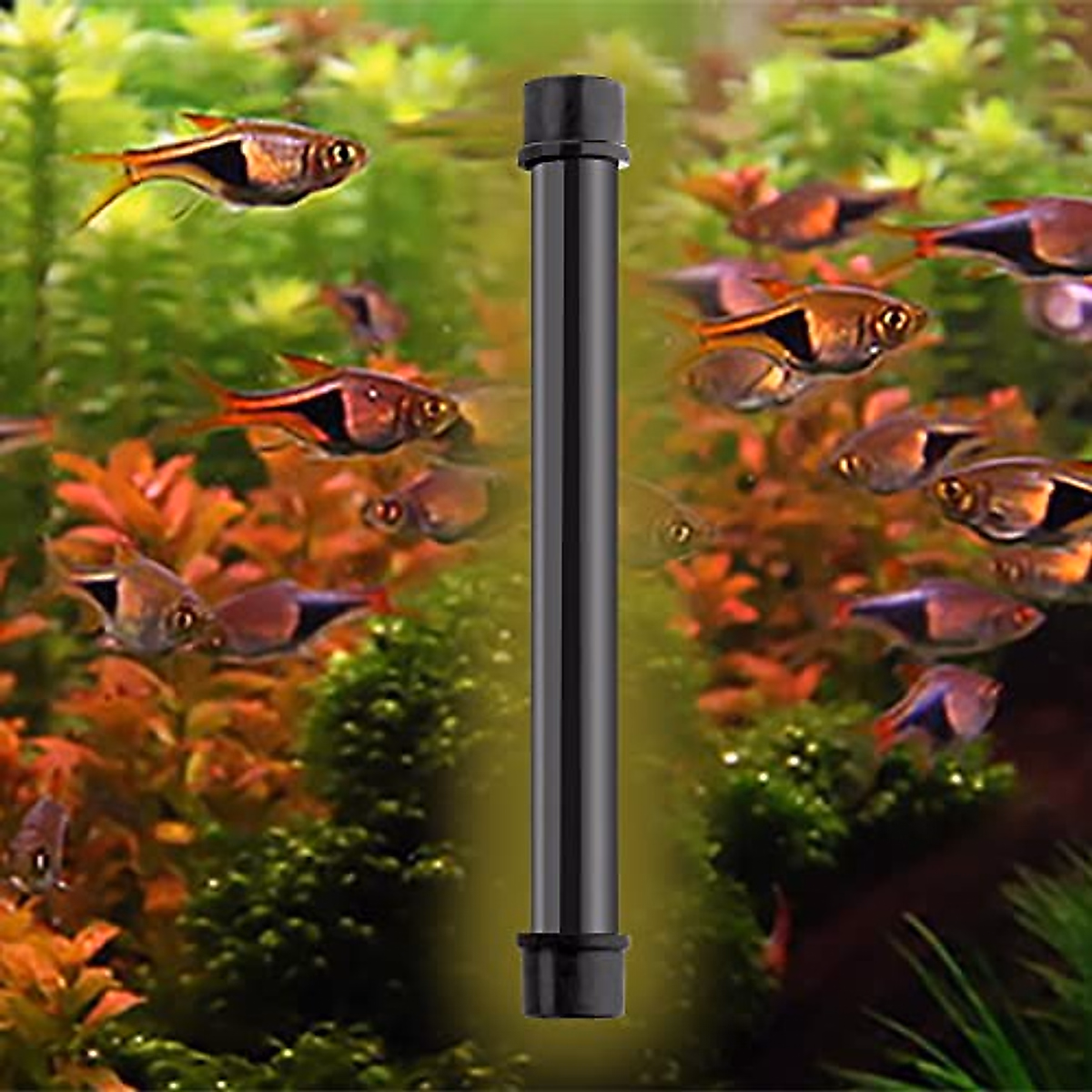 Aquatop 25W Pisces Nano Heater - Fully Submersible for Nano Fish Tanks Up to 8 Gallons, Preset 78F Electric Thermostat, Heat-Resistant Water Heater, Small Aquarium Heaters, PCS-25W