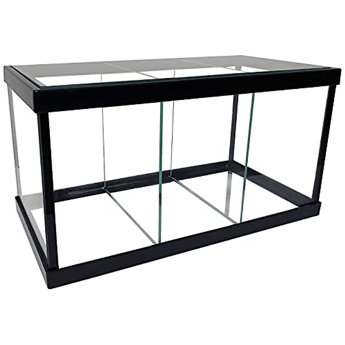 3 Place Betta Aquarium 1.5 Gallon