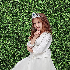 8x6ft Green Leaves Backdrop Greenery Leaf Wall Background for Jungle Theme Baby Shower Party Wedding Baby Shower Party Bridal Shower Photo Props Cake Table Decor CY-066