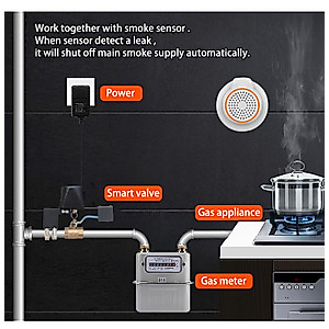 UJV Ufairy WiFi 3rd Generation Smart Water Valve Shutoff Manipulator Domotique Valve Controller Compatible with Alexa Google No Hub Required Black 31x15x75cm GR-W-105