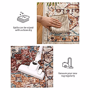 Area Rug Living Room Rugs: 8x10 feet Large Soft Bedroom Carpet Non Shedding Washable Farmhouse Boho Moroccan Throw Accent Rug for Kitchen Dining Room Home Office Under Table Floor - Red/Brown