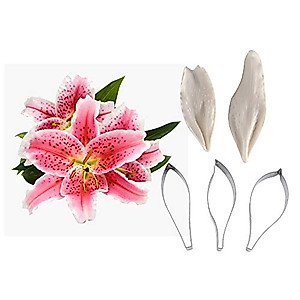 AK ART KITCHENWARE Fondant and Clay Flower Tools Lily Silicone Veining Molds Veiner Petal Cutters Set for Decorating Cakes Sugar Flower Craft