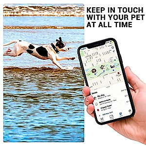 Maidek Airtag Dog Collar Holder - Heavy Duty & Thick Titanium GPS Tracker Holder, Reflective Nylon - Chewproof, Magnetic Dog Collar Tag with Leash, Poop Bag - Black, Medium Size 1.25x15-18