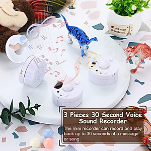 3 Pcs Voice Recorder for Stuffed Animal, Voice Recorder Box Stuffed Bear Mini Voice Recorder Device, DIY Custom Voice Message Toy Voice Recorder for Baby Dolls, Plush Toys and Pillows (20s Edition)
