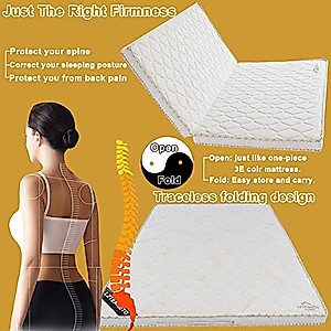 LZTENRETO Firm Coir Mattress, 3E Coconut Coir Mattress Pad, Quiet Coconut Palm Mattress, Thick Coir Mattress Pad in 6cm,9cm,11cm, Foldable (White-A,Sample 18"x18"x2.4")