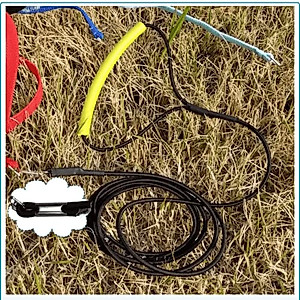 Pet Parrot Bird Harness Leash Adjustable Bird Flying Harness Traction Rope with Cute Wing for Parrots Pigeons Budgerigar Lovebird Cockatiel Mynah Outdoor Training Toy (S, Blue)