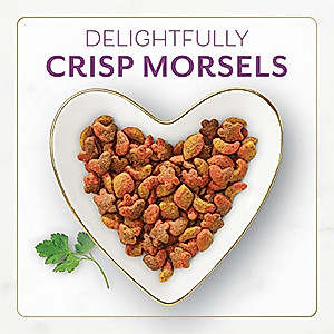 Purina Fancy Feast Dry Cat Food with Savory Chicken and Turkey - 3 lb. Bag