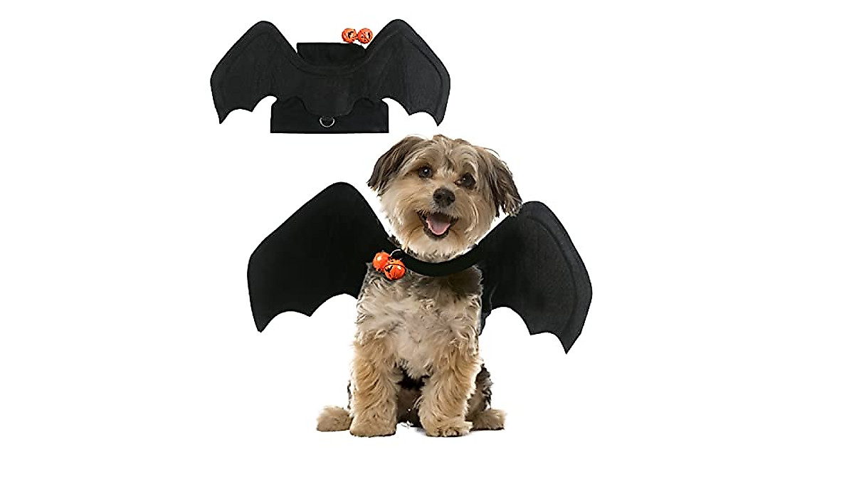 Cute Cat Bat Costume for Halloween - DIYASY