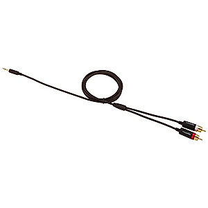 Amazon Basics 3.5mm to 2-Male RCA Adapter Audio Stereo Cable - 4 Feet