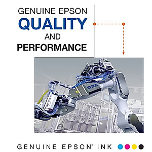 EPSON 69 DURABrite Ultra Ink Black 2-Pack For CX-6000, CX-7000F, CX-7400, CX-8400, CX-9400, CX-9475, NX-400, NX-415, NX-510, NX-515, WF-1100, WF-500, WF-600, WF-610, WF-615 and other select models