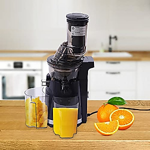 awolsrgiop Juicer Machine, 250W Masticating Juicer Cold Press Slow Juicer Extractor for Home Juicer Machines for Nutrient Fruits Quiet Kitchen Double Slots Stainless Steel High Juice Yield Low Noise