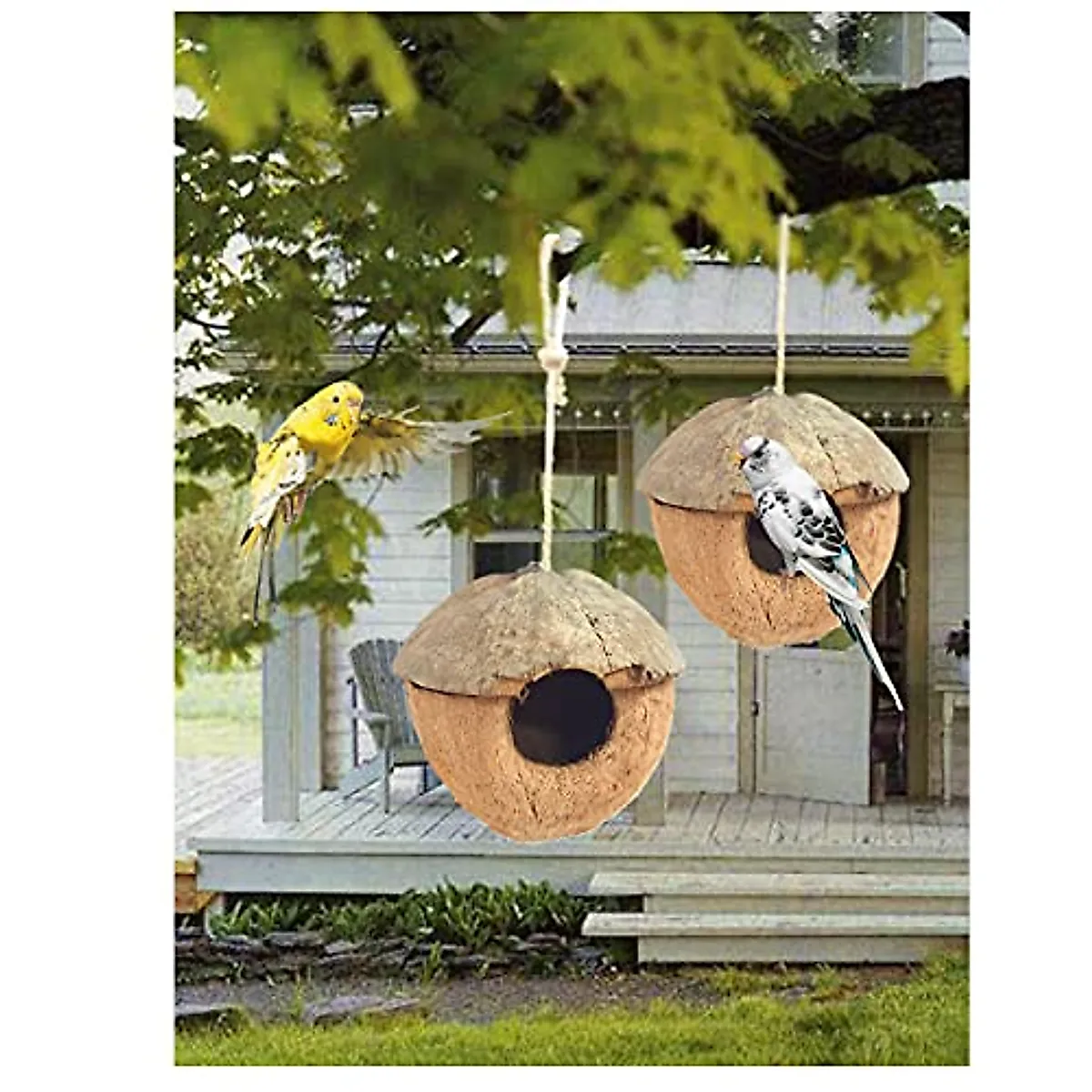 PINVNBY Natural Coconut Bird Hide Nest Hut House Coconut Shell Breeding Bird Nest Coconut Fiber Hanging Birdhouse Cage Habitats Decor for Pet Parrot Budgies Parakeet Lovebird Finch Canary(2 Packs)