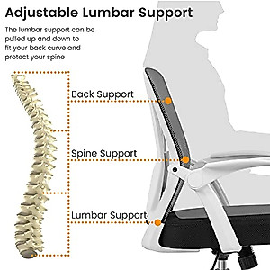 Topeakmart Office Chair Ergonomic Desk Chair with Adjustable Lumbar Support, Mid Back Mesh Computer Chair with Flip-up Armrests Task Chairs, Executive Chair for Home Office, White
