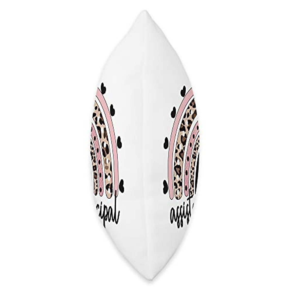 Assistant Principal Appreciation School Rainbow Assistant Principal Throw Pillow, 16x16, Multicolor