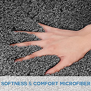 EGYPHY Bathroom Rugs Shaggy Bath Mat, Soft and Absorbent Carpet, Non-Slip Mats Can be Used for Shower, Bathtub, Kitchen, Machine Washable Rug Pad, Plush Microfiber Bath Rugs 17x24 Inches Gray