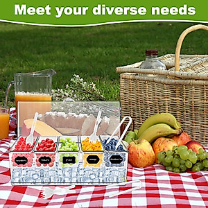 Ice Chilled Condiment Server Caddy, Bar Fruit Caddy with Lid and 5 Removable Compartments, Plastic Storage Food Container Clear Ice Condiment Serving Tray for Party, Toppings Bar Container
