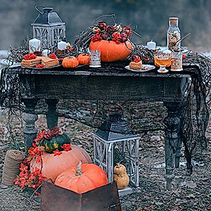 Watayo 500x39 Inch Large Size Halloween Creepy Cloth-Halloween Black Scary Spooky Cloth-Windows Doorways Cover Gauze for Halloween Party Haunted House Decor