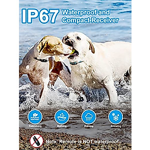 Bousnic Dog Shock Collar 2 Dogs (5-120Lbs) - 3300 ft Waterproof Training Collar for Dogs Large Medium Small with Rechargeable Remote, Beep (1-8) Vibration (1-16) and Humane Shock (1-99) Modes