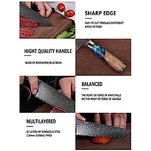 Dimashq Heavy Duty Kitchen Knife - 9.5 inch Japanese Sharp Damascus Steel Blade VG-10 Set with Resin + Color Wood Handle Kitchen Knives - Chef Knife Cooking Tools/Home/Gift