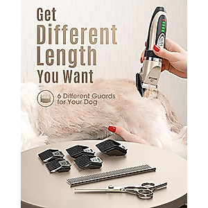 oneisall Dog Clippers Low Noise, 2-Speed Quiet Dog Grooming Kit Rechargeable Cordless Pet Hair Clipper Trimmer Shaver for Small and Large Dogs Cats Animals (Gold)