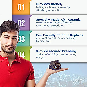 CORISRX BEST OF YOUR LIFESTYLE DR. Moss Aquarium Decorations Cichlid Stone Marine Rock Cave Decor Decorative Fish Tank Freshwater Saltwater for Small Girls Tiny Turtle Reptile