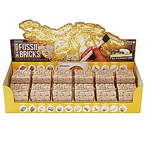 Dig a Dozen Fossil Bricks - Break Open 12 Bricks and Discover 12 Unique Real Fossils - Archaeology Science STEM Gift