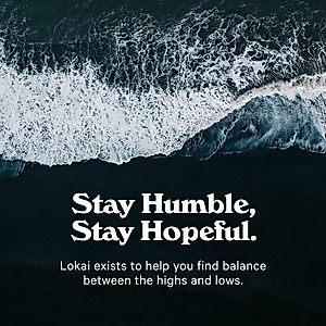 Lokai Silicone Beaded Bracelet, Equality Collection (Pride Stripes Cause) - Medium, 6.5 Inch Circumference - Jewelry Fashion Bracelet Slides-On for Comfortable Fit for Men, Women & Kids