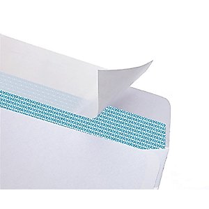 #10 Security Tinted Self-Seal Envelopes - No Window - EnveGuard, Size 4-1/8 X 9-1/2 Inches - White - 24 LB - 100 Count (34100)