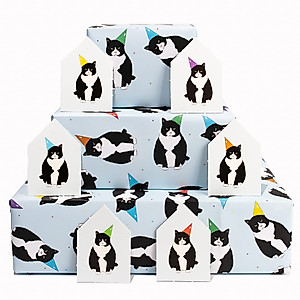 CENTRAL 23 - Blue Wrapping Paper - Cats in Hats - 6 Sheets of Birthday Gift Wrap - For Men Boys Kids - Valentines Day Gift Wrap for Women Her Girls - Recyclable - Comes with Stickers