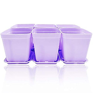24 Pack Plastic Square Nursery Pots 3 Inch Plastic Plant Pots,Flower Pot with Tray Saucer for Indoor Outdoor Garden Office Decor