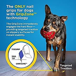 Dr Buzby's Large ToeGrips for Dogs - Instant Traction on Wood/Hardwood Floors - Dog Anti Slip Relief - Dog Grippers for Senior Dogs - Stop Sliding Instantly - Rubber Nails for Dogs - 1 pack (20 grips)