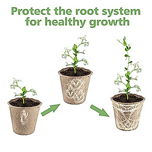 50 Pcs Peat Pots, Biodegradable Eco-Friendly Plant Seedling Starters Kit, Seed Germination Trays with 10 Plant Markers for Vegetable Tomato Saplings & Herb Seed Germination