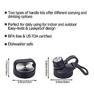 IDEUS Insulated Stainless Steel Water Bottle with 2 Leak-Proof Lids, Thermal Water Flask for Hiking Biking, 40oz, Gray