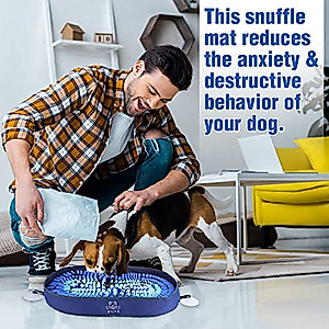 VIITZ Dog Snuffle mat (Blue Main)