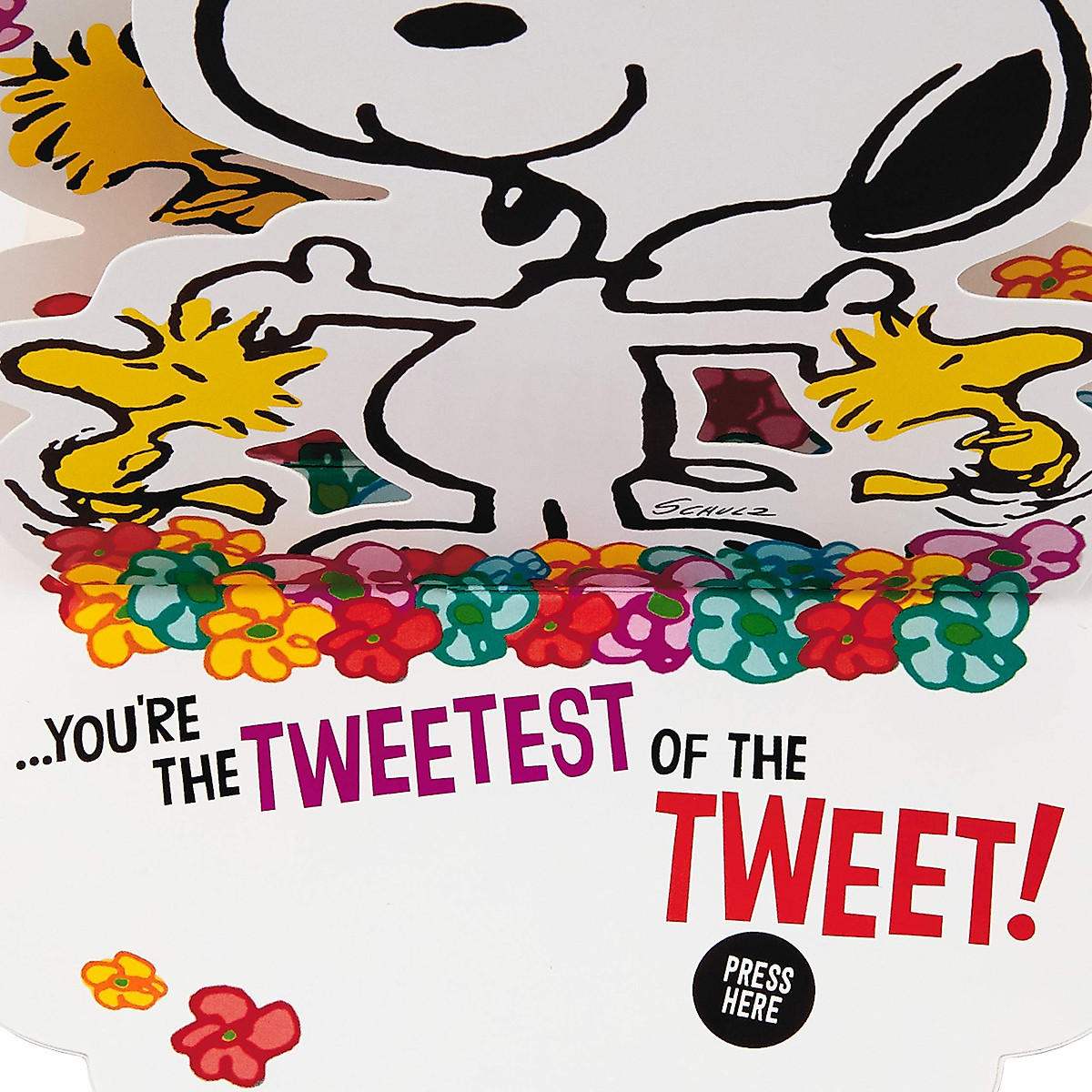 Hallmark Birthday Pop Up Card with Song from Son or Daughter (Peanuts Snoopy and Woodstock Pop Up, Plays Linus and Lucy by Vince Guaraldi)