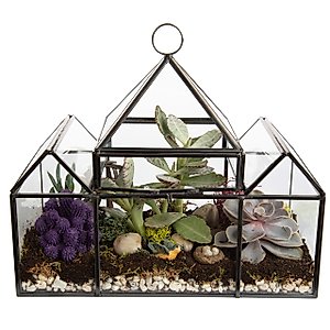 D'Eco Glass Castle Plant Terrarium (10x4.5x9) - Indoor Tabletop & Hanging Black Geometric Planter - Succulents, Air Plants, Moss, Fern - Home Garden Office Decor - Holiday (No Plants)