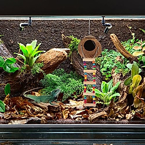 Ipetboom Toys Reptile Decor Terrarium Hideout House for Pet Hideout with Ladder Toy Bed for Pet Breeding Nest Hanging Hideout Nest with Ladder Sleeping Nest Coconut Wooden Parrot Supplies