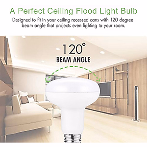 Small frog Floodlight Indoor BR25 Led Bulbs - 9W, Replace 75W Incandescent, 2700K Warm White 900LM Dimmable E26 Light Bulbs for Home Lighting, Pack of 4