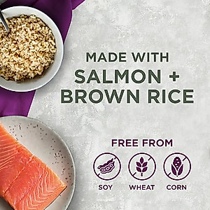 Blackwood Special Diet All Life Stages Dry Dog Food, 30Lb., Salmon Meal & Brown Rice Recipe, Sensitive Skin and Stomach, Grain Free Dog Food