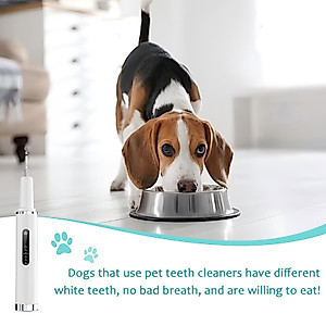 INCANDESCO Dog Plaque Remover for Teeth - Dog Teeth Cleaning kit - ultrasonic Plaque Remover for Dogs with LED Light & 6 Adjustable Modes Dog Tartar Remover for Teeth,Dog Dental Care (White, Large)