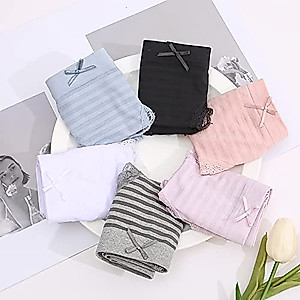 Cheeky Underwear for Women Sexy Panties No Show Stretchy with Cute Lace Seamless Breathable Underwear Women Pack of 6 S-2XL