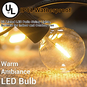 Abeja 25 Feet Outdoor String Lights G40 Led Globe Patio Lights with 25 Shatterproof Bulbs (2 Spare), LED String Lights Commercial Grade Waterproof Backyard Lights for Outside Porch Bistro, Black Wire