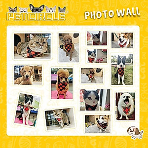 Dog Bandanas Fall 2 Pack,for Dog Birthday Party Double Layer Fabric pet Scarf Durable for Dog cat Birthday (Small, Orange)