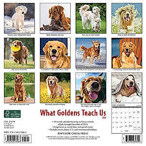 Willow Creek Press What Goldens Teach Us Monthly 2024 Wall Calendar (12" x 12")