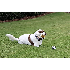 Unique Sports Dog Fetch Squeaker Balls Animal Prints 18 Pack