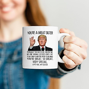 Aurahouse You're A Great Sister Mug, Funny Sister Gifts from Sister Brother, Sister Birthday Gifts, Christmas Gifts, Valentines Day, Mothers Day Gifts for Sister-in-law, Soul Sister 11 Oz Cup