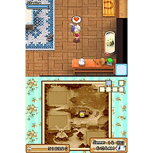 Harvest Moon: Grand Bazaar - Nintendo DS